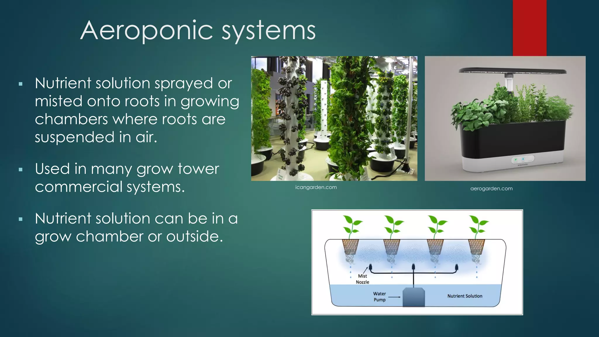 Hydroponics PPT.pdf