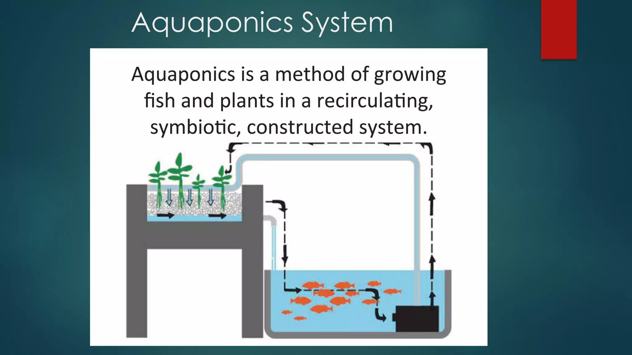 Hydroponics PPT.pdf