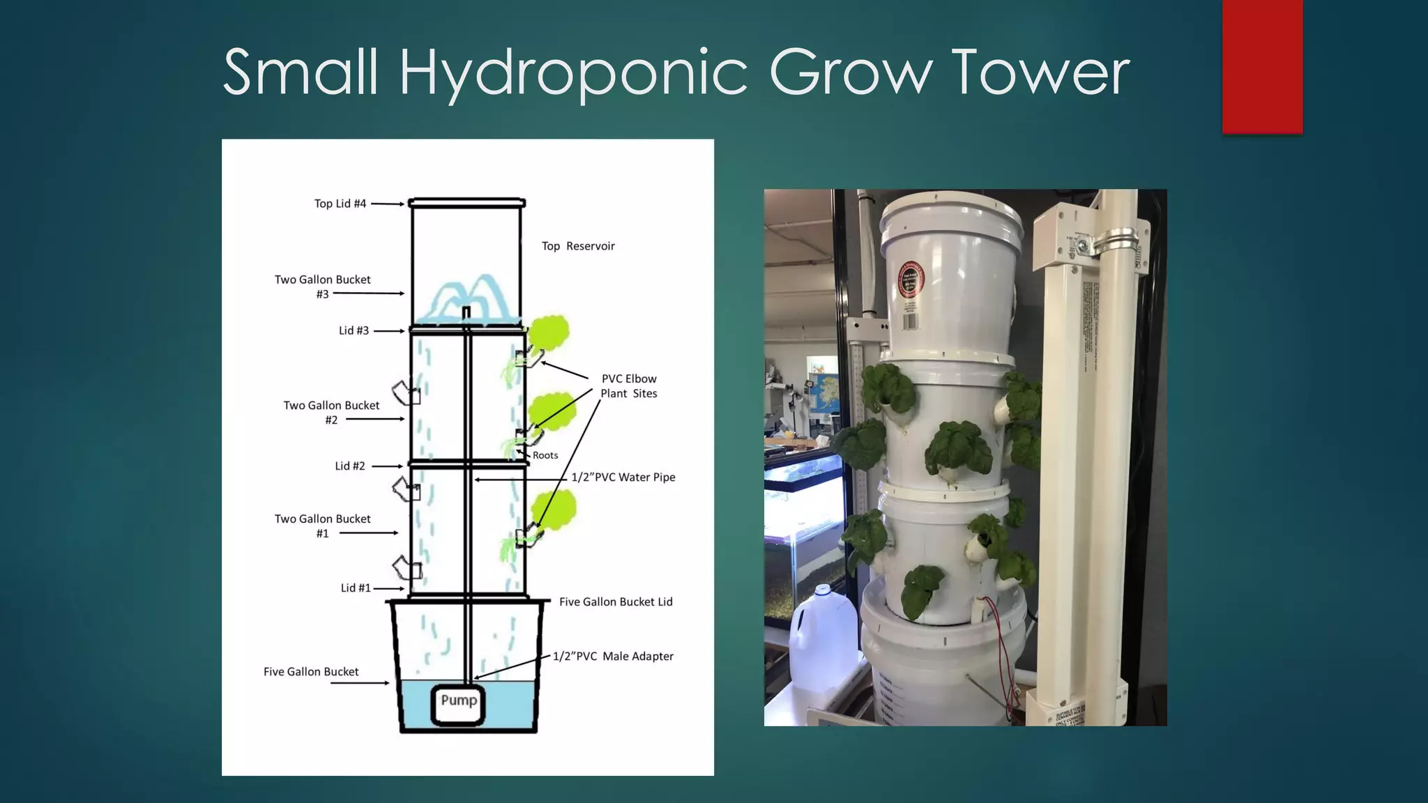 Hydroponics PPT.pdf