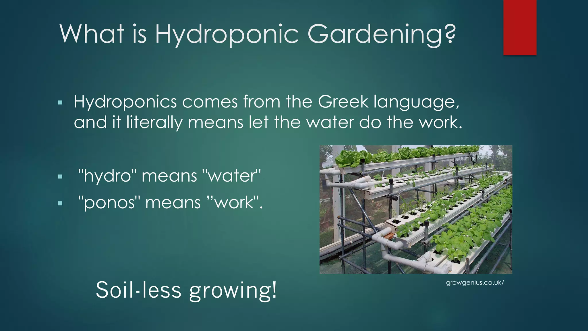 Hydroponics PPT.pdf