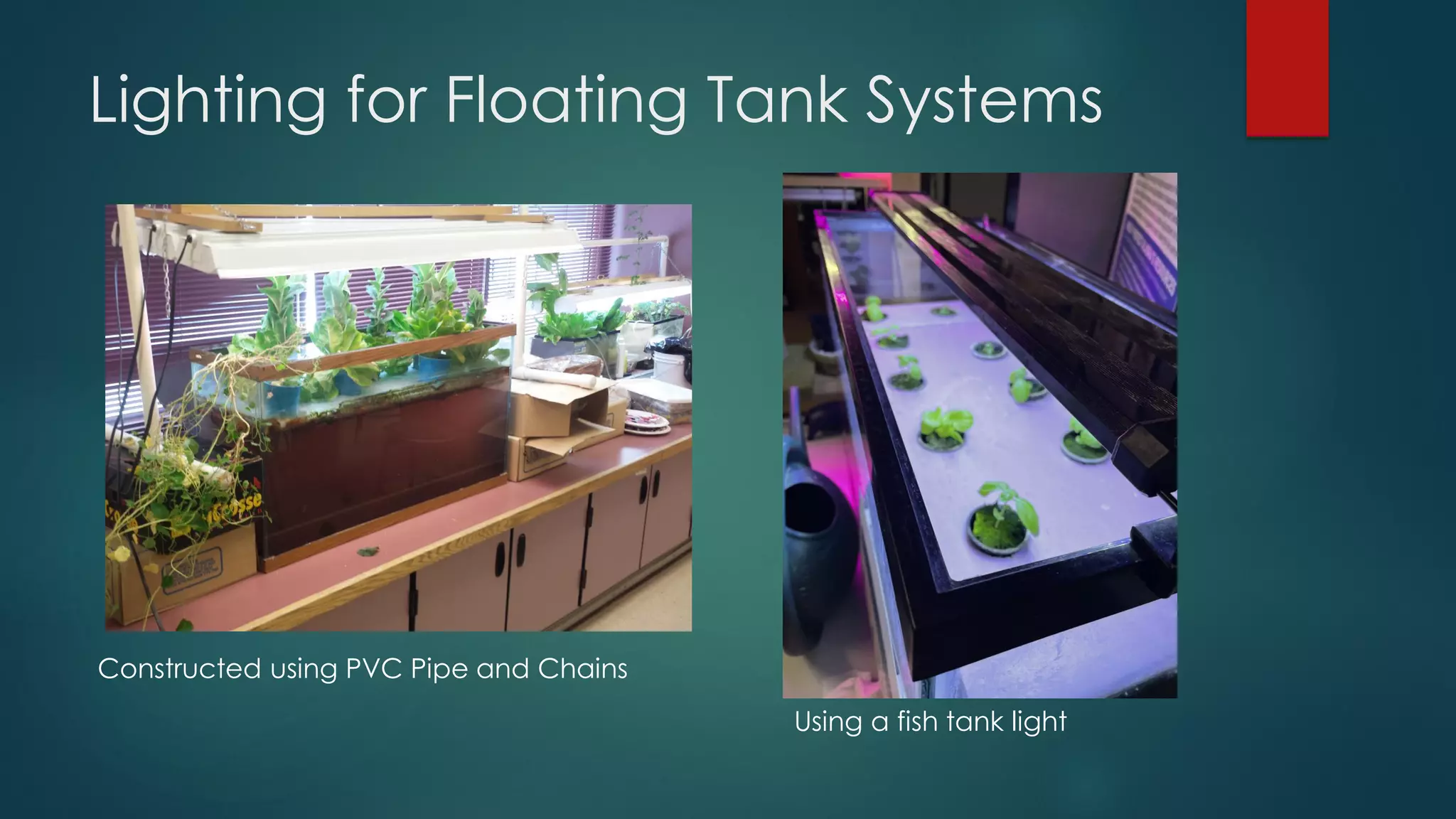 Hydroponics PPT.pdf