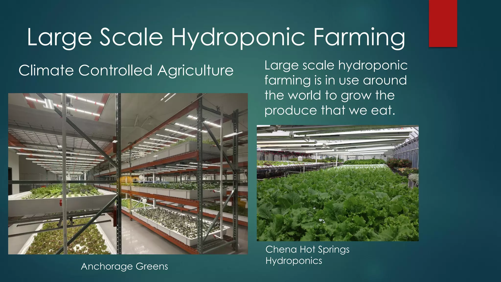 Hydroponics PPT.pdf