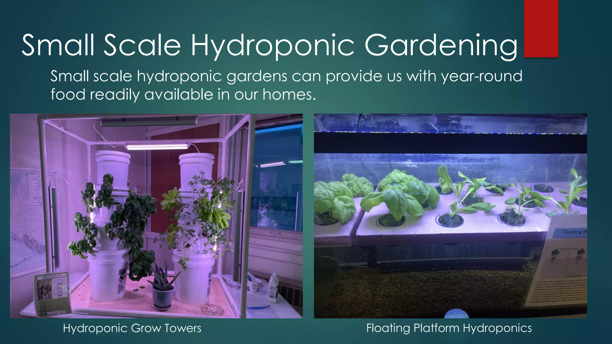 Hydroponics PPT.pdf