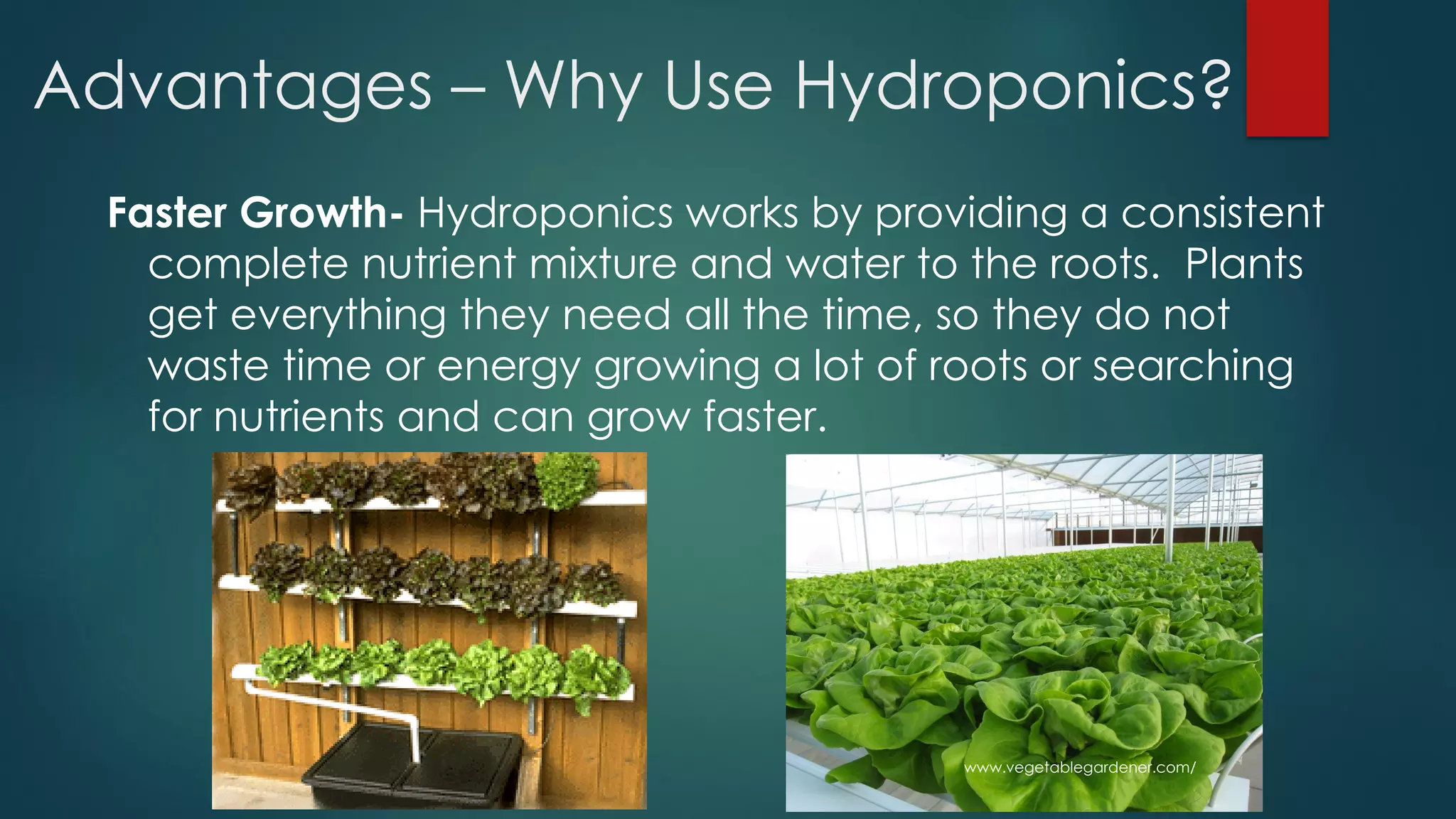 Hydroponics PPT.pdf
