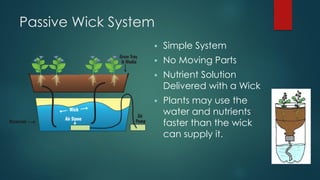 Hydroponics PPT.pdf