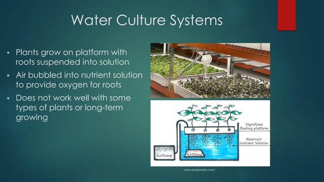 Hydroponics PPT.pdf