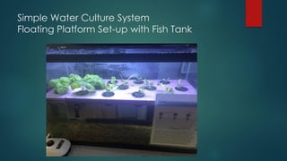 Hydroponics PPT.pdf