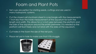 Hydroponics PPT.pdf
