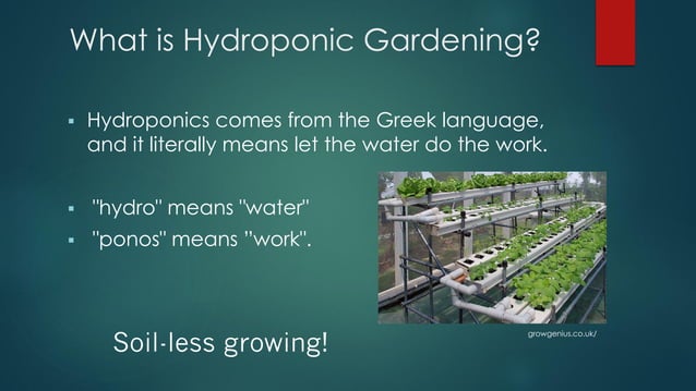 Hydroponics PPT.pdf
