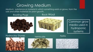 Hydroponics PPT.pdf