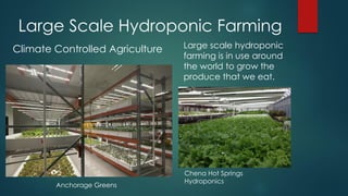 Hydroponics PPT.pdf