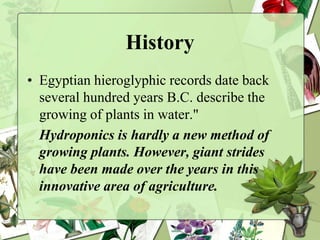 hydroponicsppt.ppt