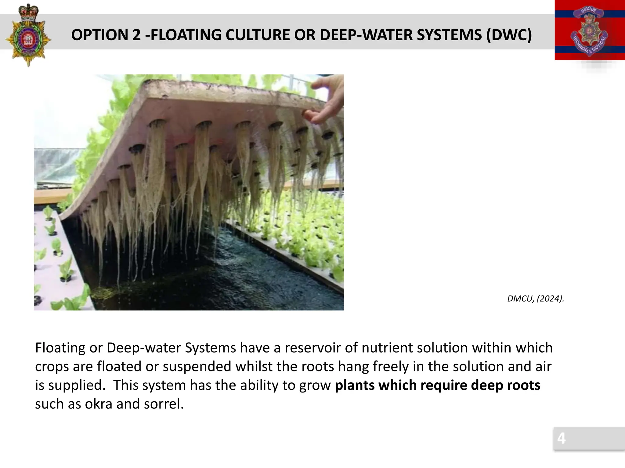 Hydroponics Presentation 2024 (slide share).ppt