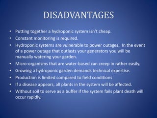 Hydroponic sysetem | PDF