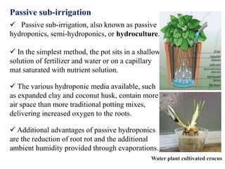 Soil less Agriculture-Hydroponics. | PPTX | Agriculture | Industries