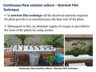 Soil less Agriculture-Hydroponics. | PPTX