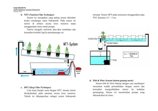 Hidroponik | PDF
