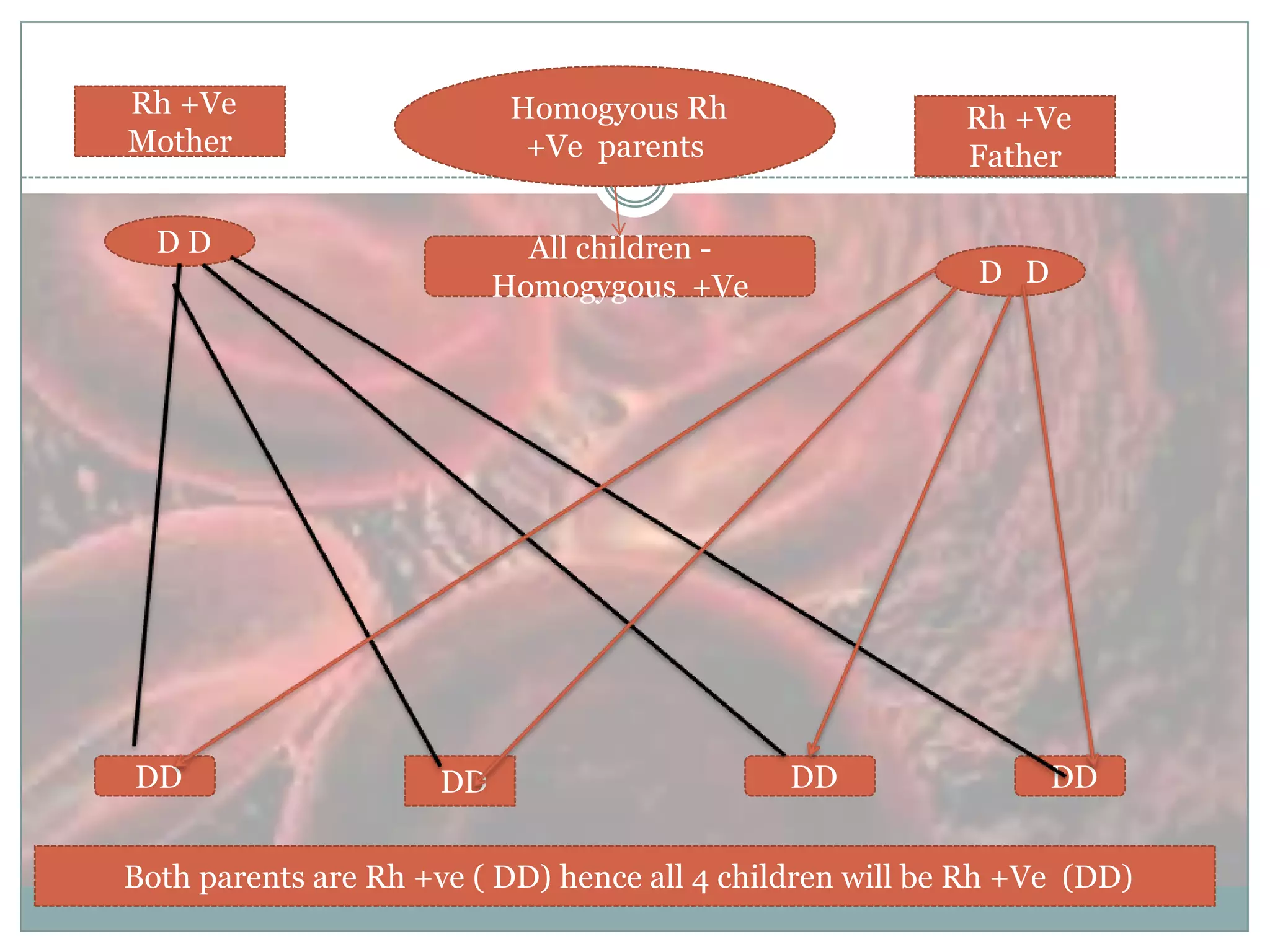 Hydrops fetalis | PPTX