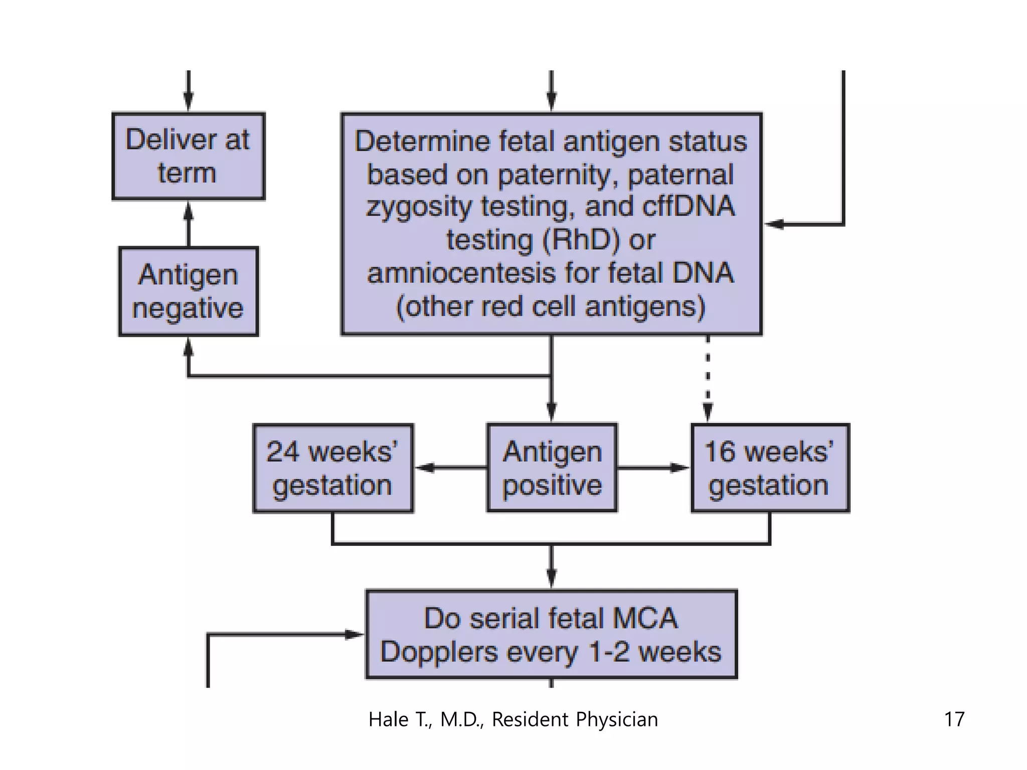 Hydrops fetalis: Immune and nonimmune fetal hydrops | PDF