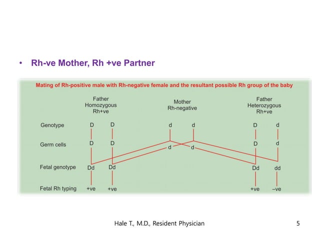 Hydrops fetalis: Immune and nonimmune fetal hydrops | PDF | Pregnancy ...