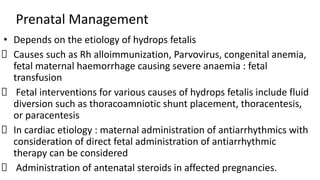 HYDROPS FETALIS- all about it, dfinition and managemnt | PDF