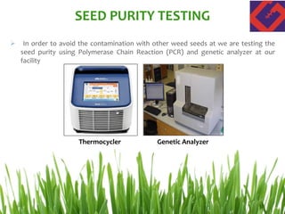 Hydroseeding for erosion control | PDF