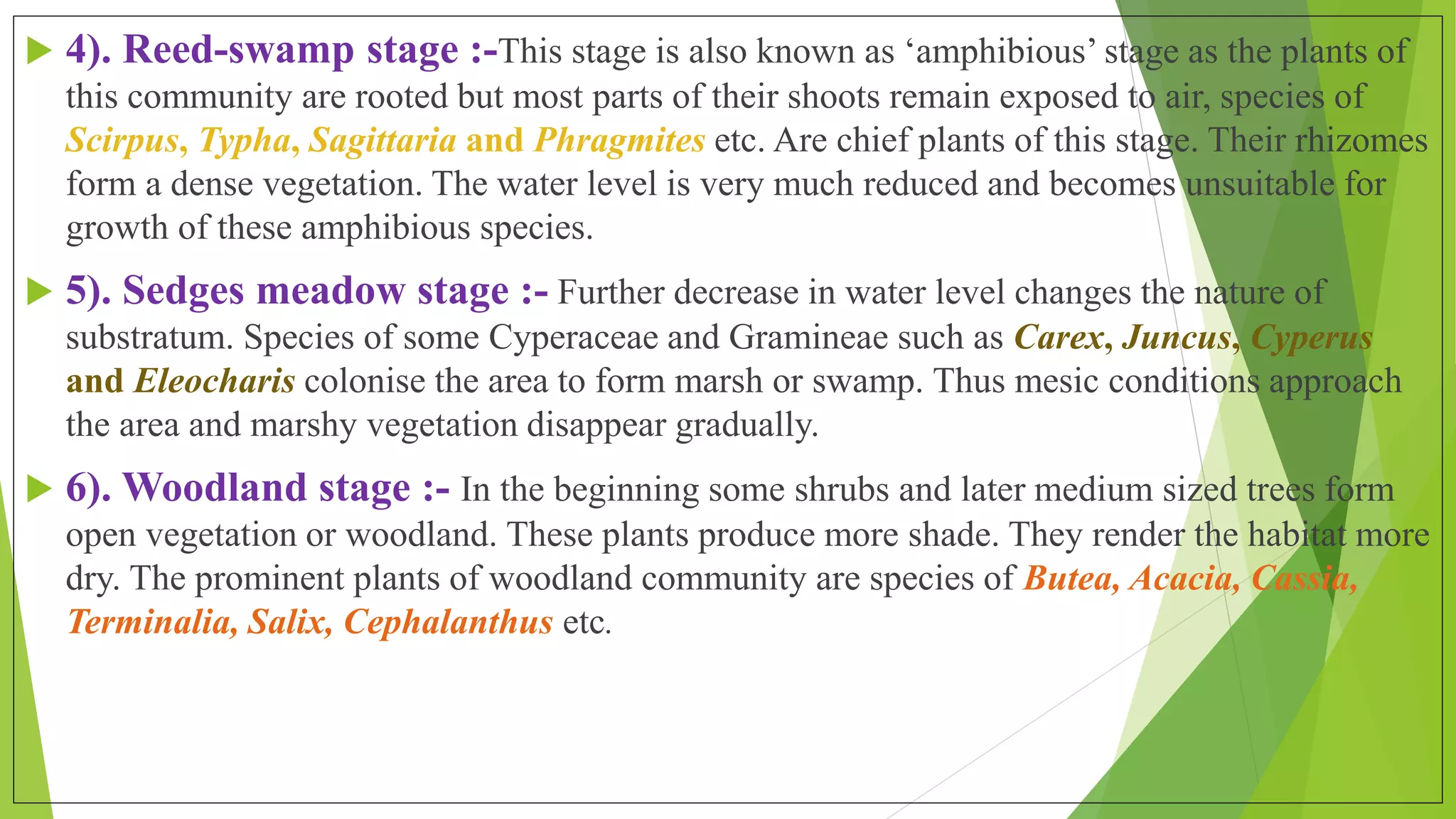 hydrosere succession.pptx