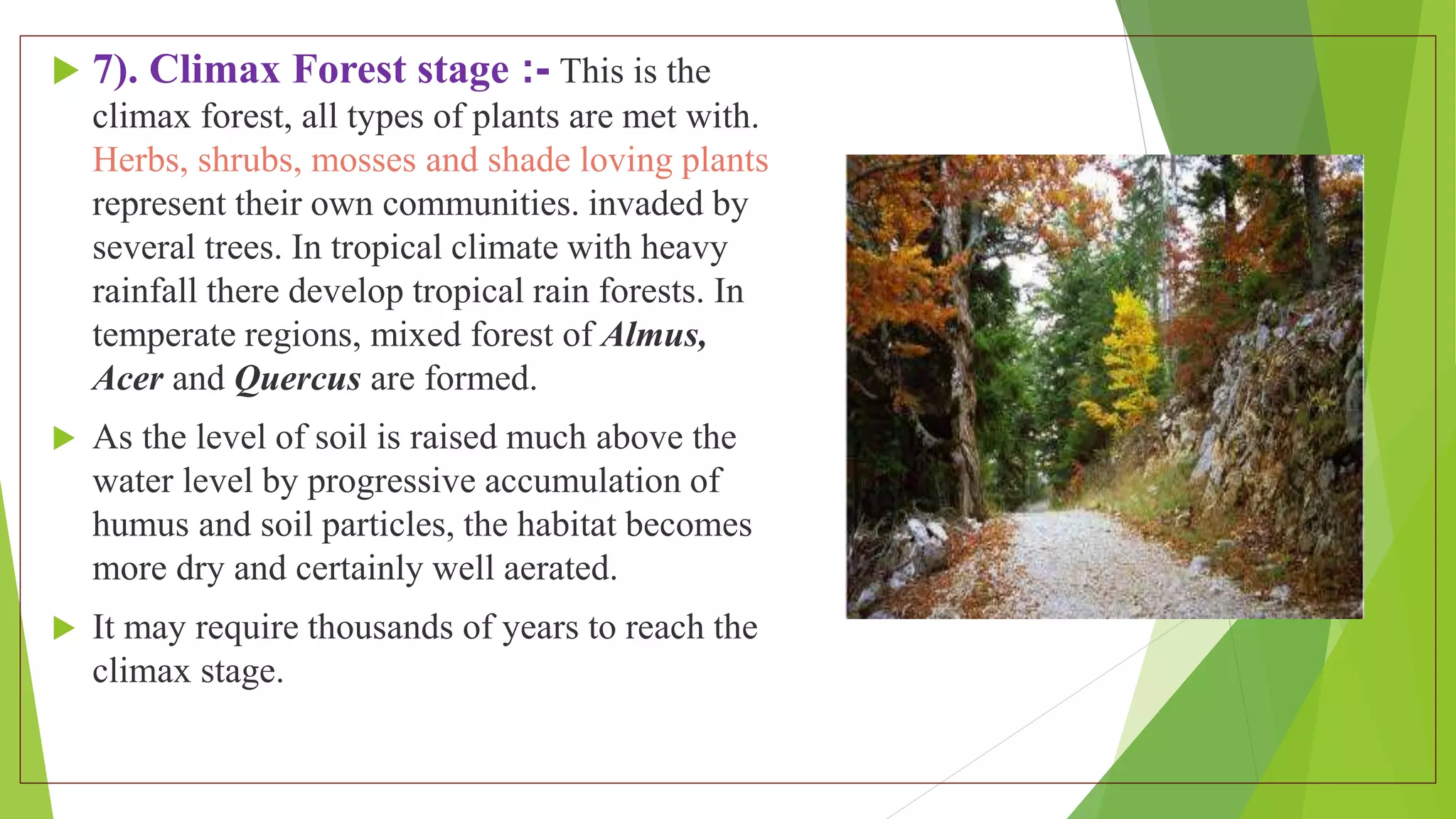 hydrosere succession.pptx