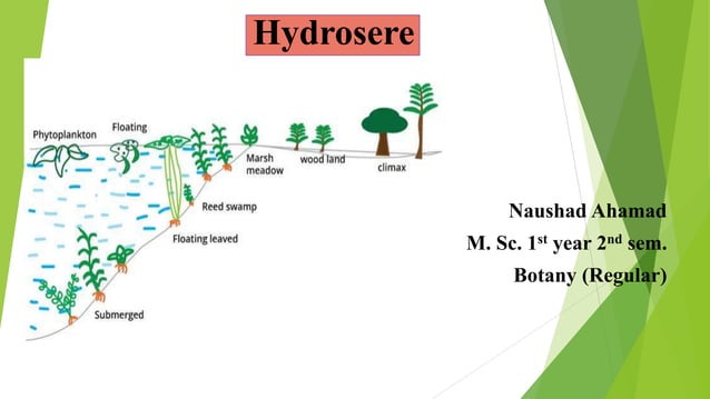 hydrosere succession.pptx | Gardening | Home & Garden
