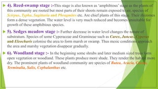 hydrosere succession.pptx