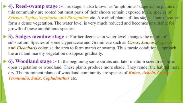 hydrosere succession.pptx | Gardening | Home & Garden