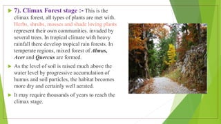 hydrosere succession.pptx