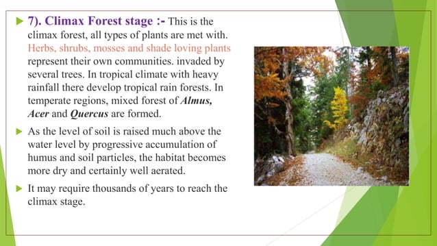 hydrosere succession.pptx | Gardening | Home & Garden