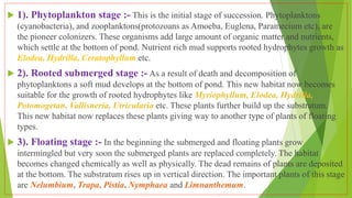 hydrosere succession.pptx