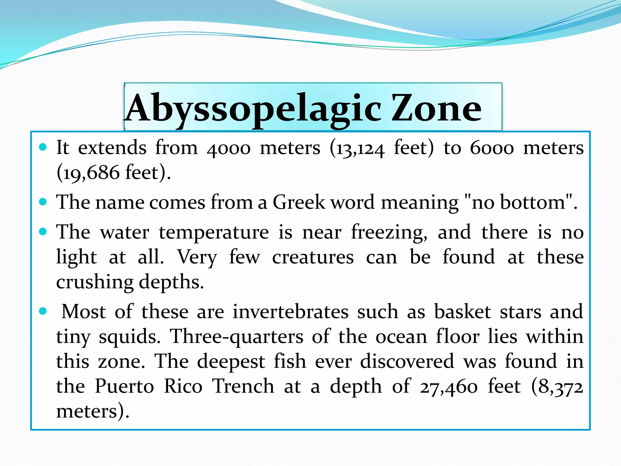Hydrosphere | PPTX