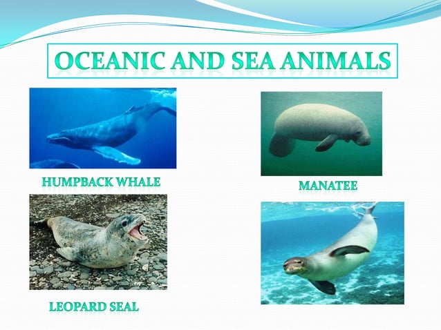 Hydrosphere | PPTX | Geography | Science