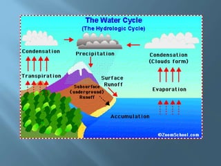 Hydrosphere | PPTX