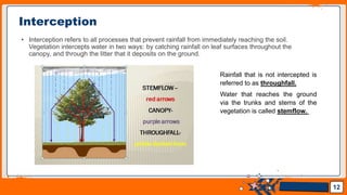 Hydrosphere | PPTX | Chemistry | Science