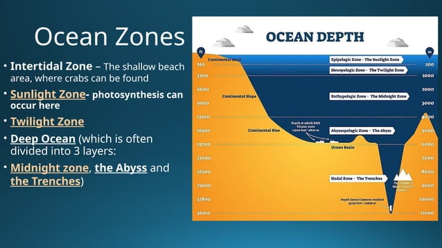 Hydrosphere Notes for 8th Grade Science.pptx