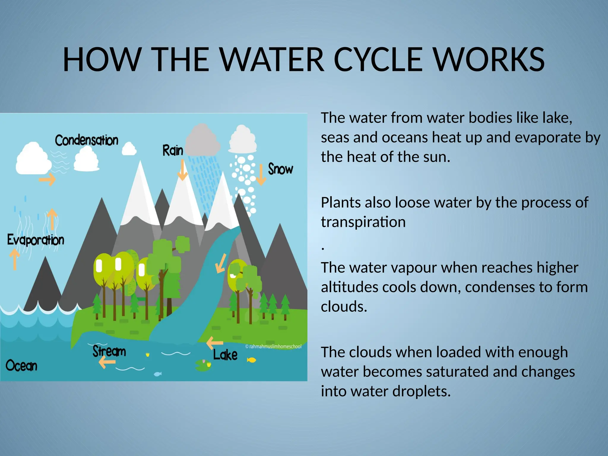 HYDROSPHERE PRESENTATION -THE HYDROSPHERE THE WATER CYCLE HOW THE WATER ...