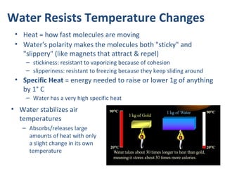 Hydrosphere Review | PPT
