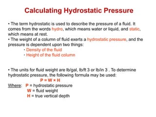 Hydrostatic Pressure & Fluid Gradient.pdf | Geology | Science