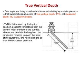 Hydrostatic Pressure & Fluid Gradient.pdf | Geology | Science
