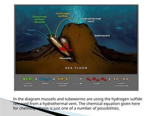 Oceanography (Marine Biology 1) Introduction | PPTX | Chemistry | Science