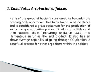 Oceanography (Marine Biology 1) Introduction | PPTX | Chemistry | Science