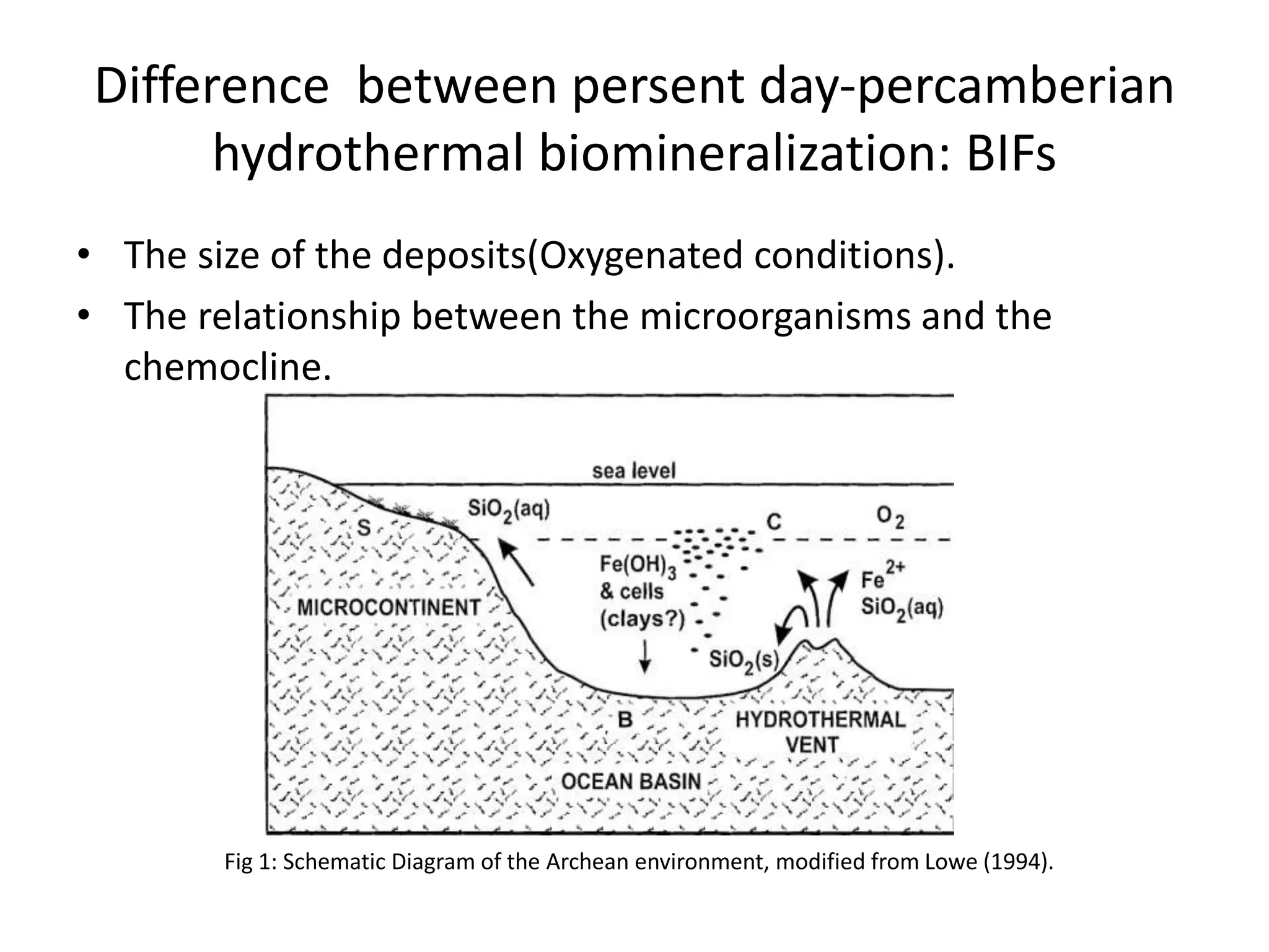 Hydrothermal Biomineralization, Bended iron formation. | PPT