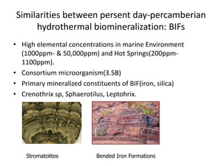 Hydrothermal Biomineralization, Bended iron formation. | PPT