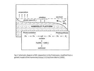 Hydrothermal Biomineralization, Bended iron formation. | PPT