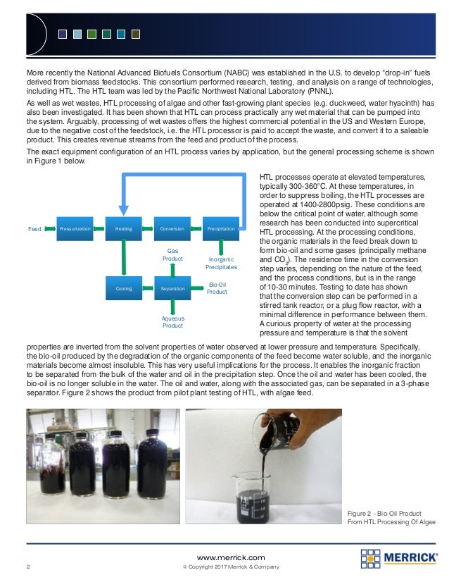 Hydrothermal Liquefaction
