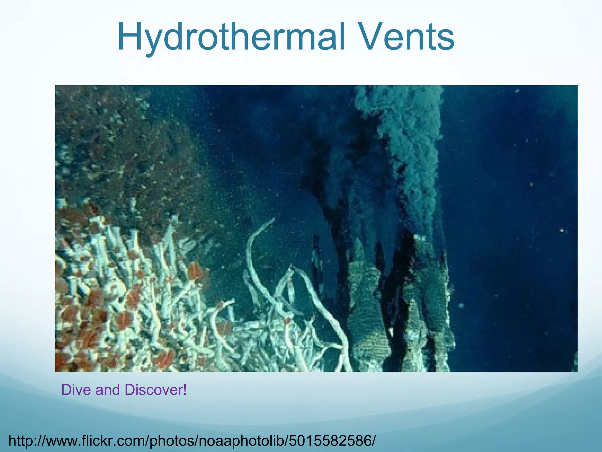 Hydrothermal vents | PPT